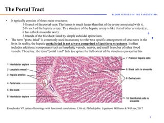 Histology of the liver - Maha Hammady.pptx
