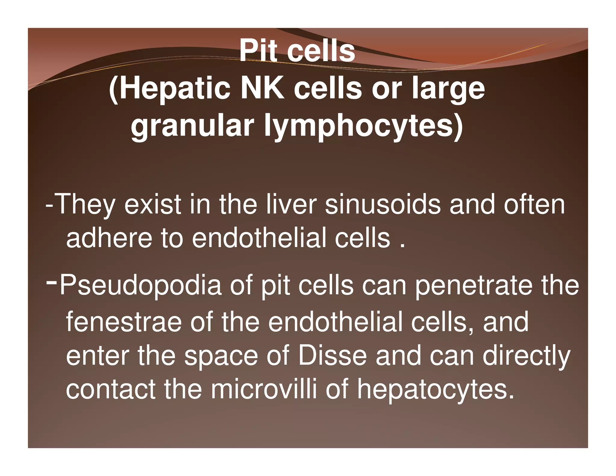 Histology of the liver and gall bladder [compatibility mode] | PDF