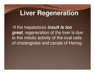 Histology of the liver and gall bladder [compatibility mode] | PDF