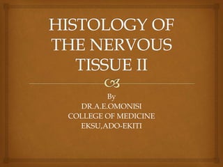 HISTOLOGY OF THE NERVOUS TISSUE II.pptx