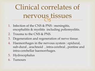 HISTOLOGY OF THE NERVOUS TISSUE II.pptx