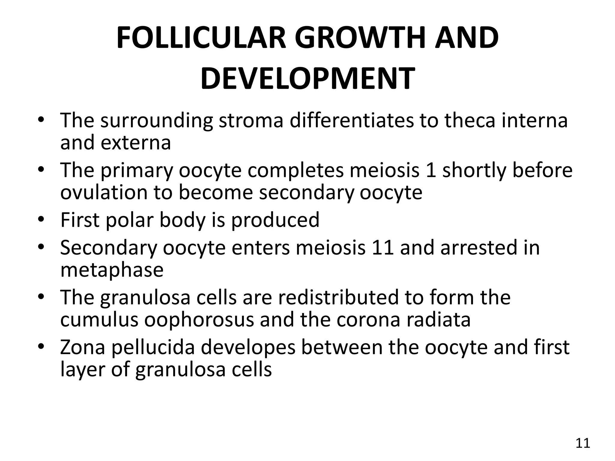 HISTOLOGY OF THE OVARY LECTURE.pptx