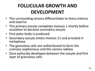HISTOLOGY OF THE OVARY LECTURE.pptx