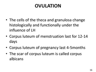 HISTOLOGY OF THE OVARY LECTURE.pptx
