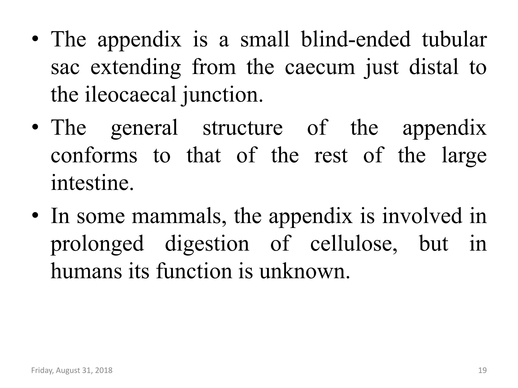 Histology of the pancreas, gall bladder and appendix by Zachariah ...