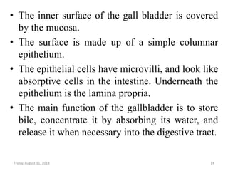 Histology of the pancreas, gall bladder and appendix by Zachariah ...