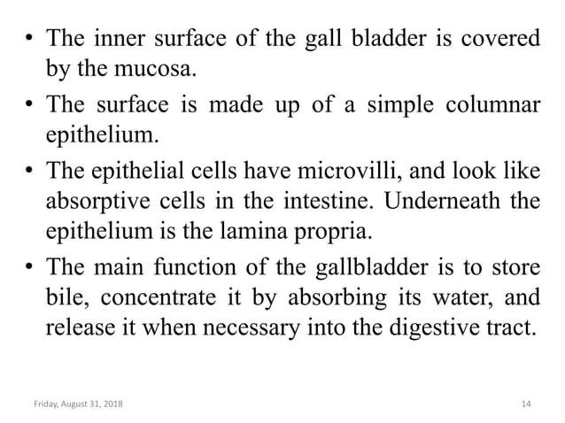 Histology of the pancreas, gall bladder and appendix by Zachariah ...
