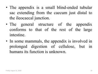 Histology of the pancreas, gall bladder and appendix by Zachariah ...