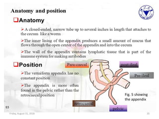 Histology of the pancreas, gall bladder and appendix by Zachariah ...
