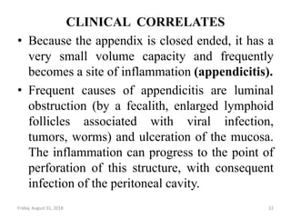 Histology of the pancreas, gall bladder and appendix by Zachariah ...