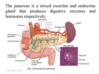 Histology of the pancreas, gall bladder and appendix by Zachariah ...