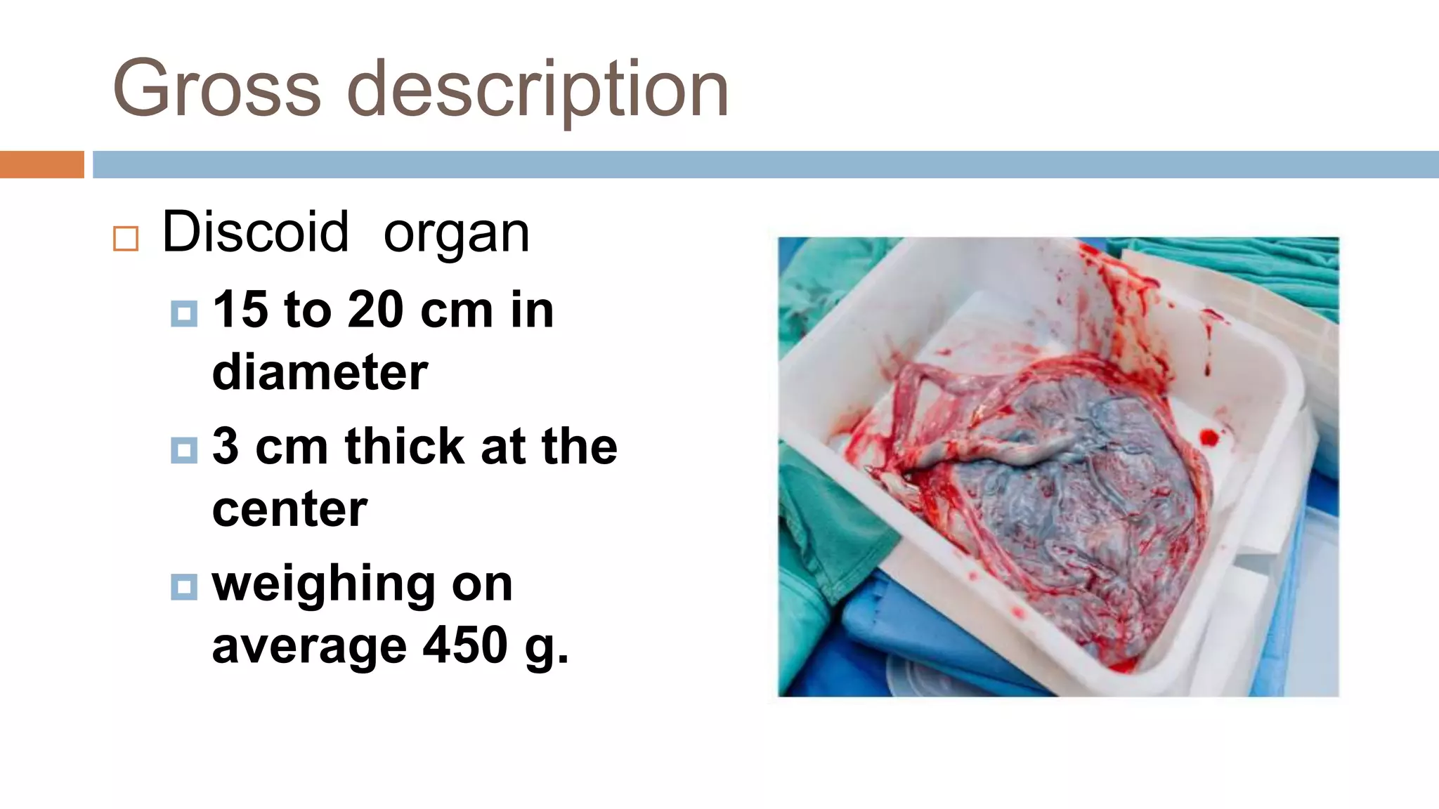 Histology of the Placenta.pptx