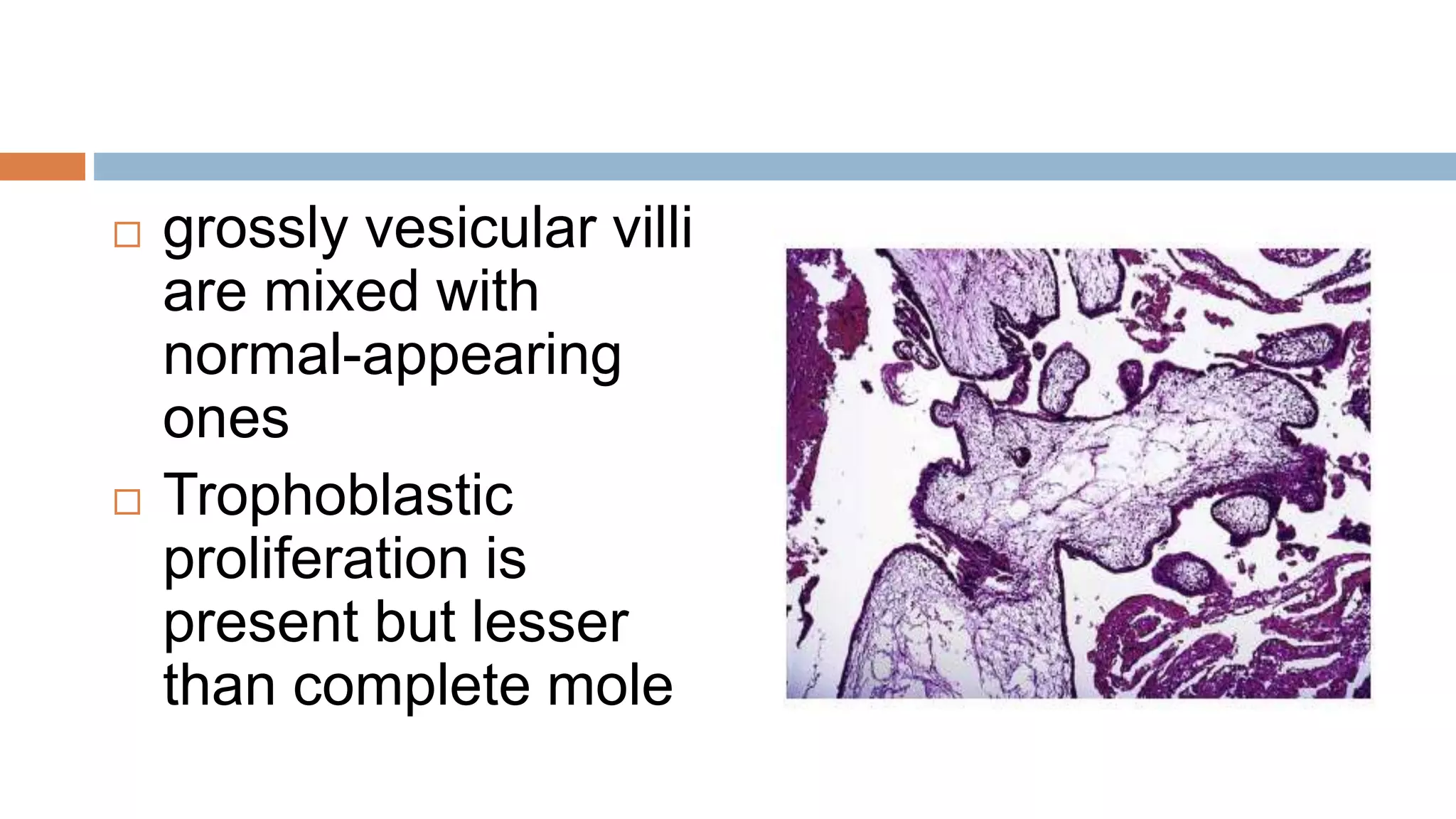 Histology of the Placenta.pptx