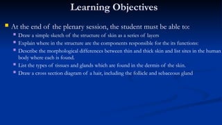 Histology of the Skin powerpoint notes.pptx