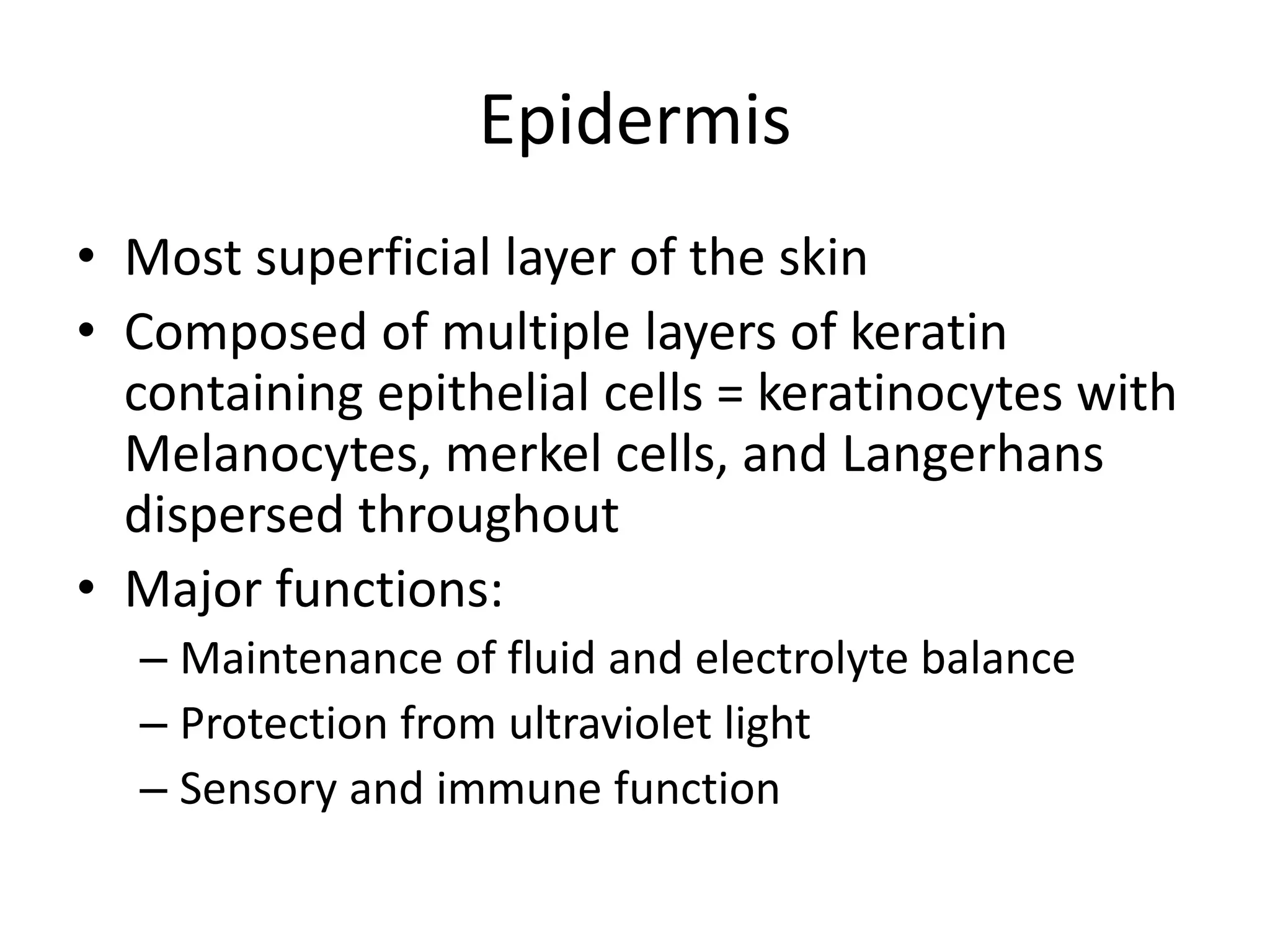 HistologyoftheSkin.ppt