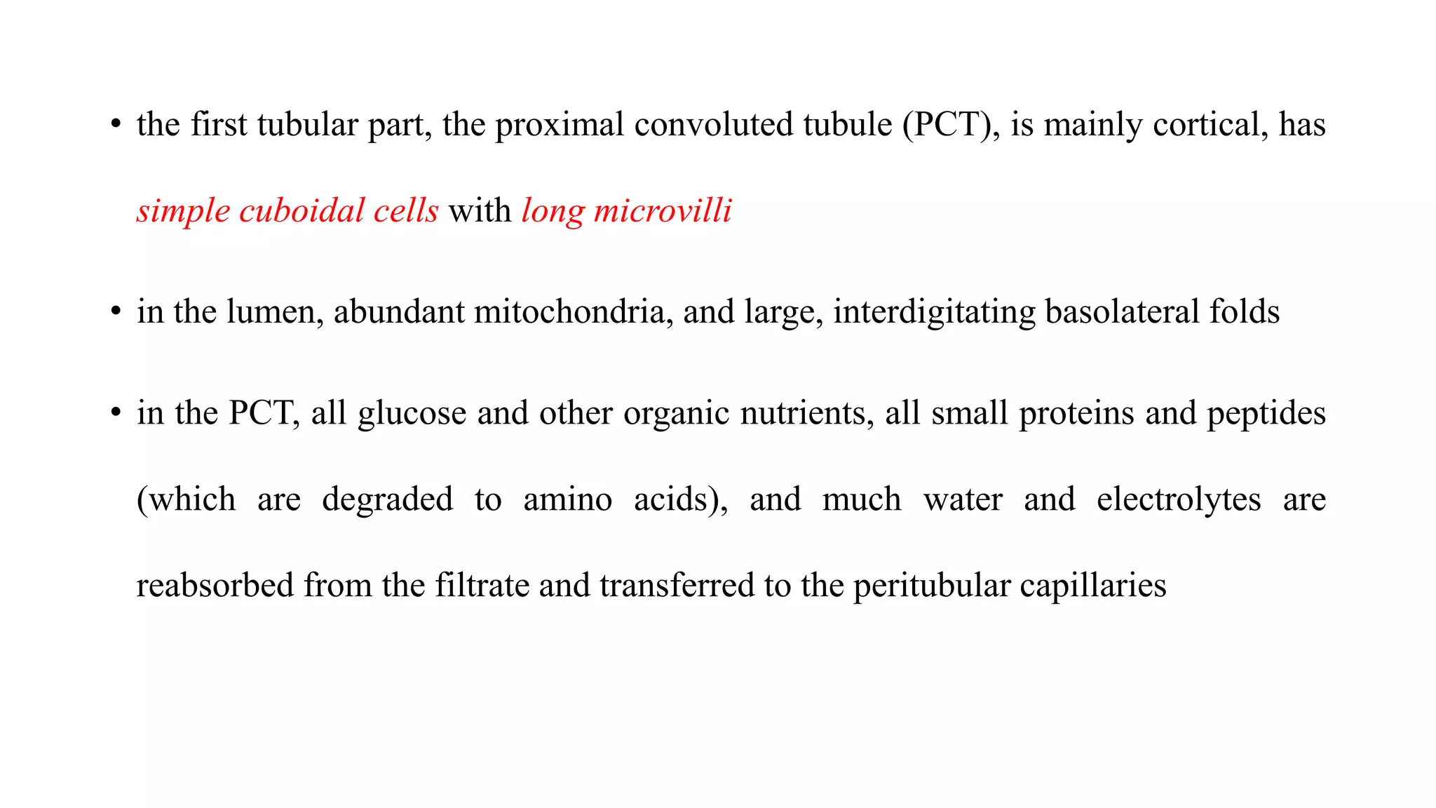 HISTOLOGY OF THE URINARY SYSTEM.pptx