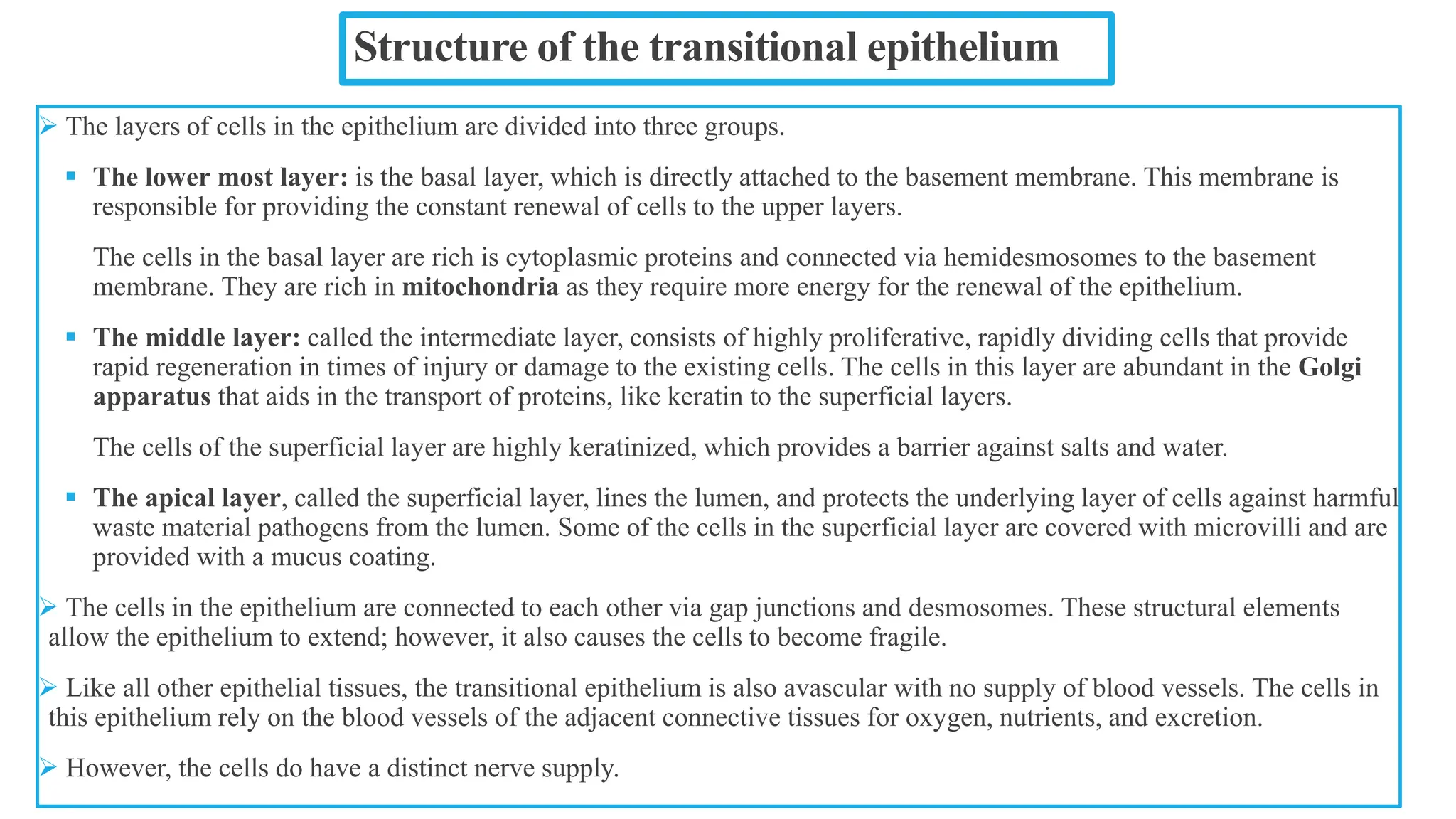 Histology of the urinary system L-1 for master | PDF