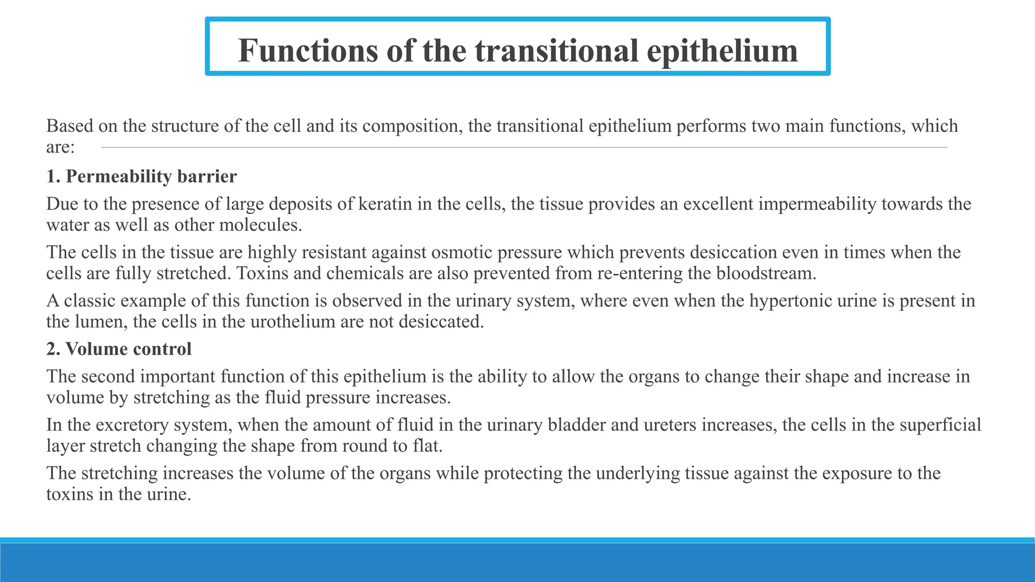 Histology of the urinary system L-1 for master | PDF