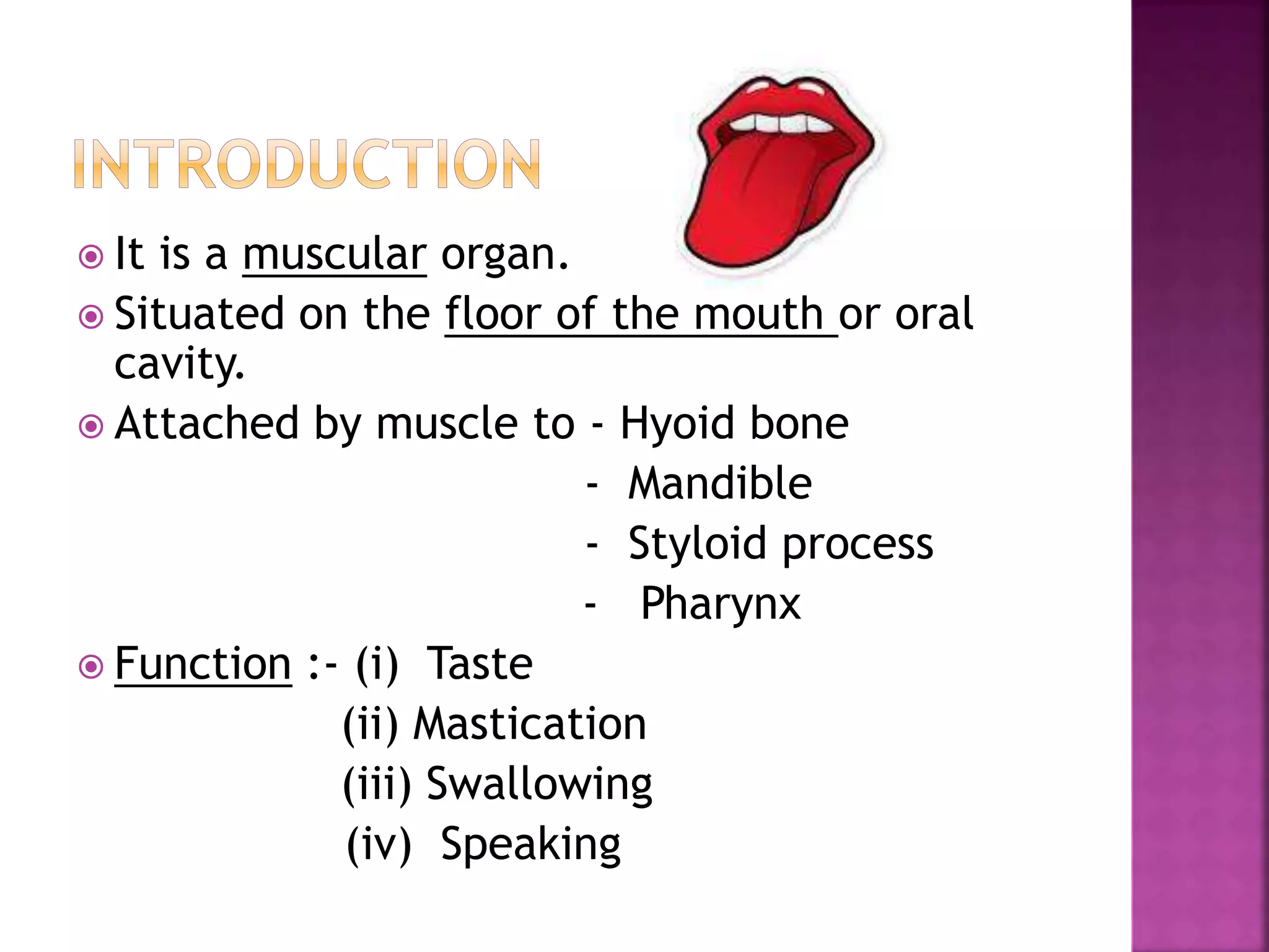 Histology of tongue by Dr. Shubham Gupta | PPTX