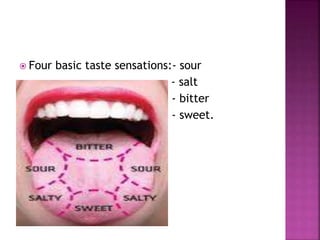 Histology of tongue by Dr. Shubham Gupta | PPTX