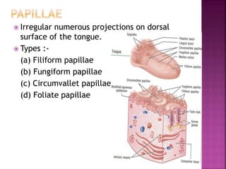 Histology of tongue by Dr. Shubham Gupta | PPTX