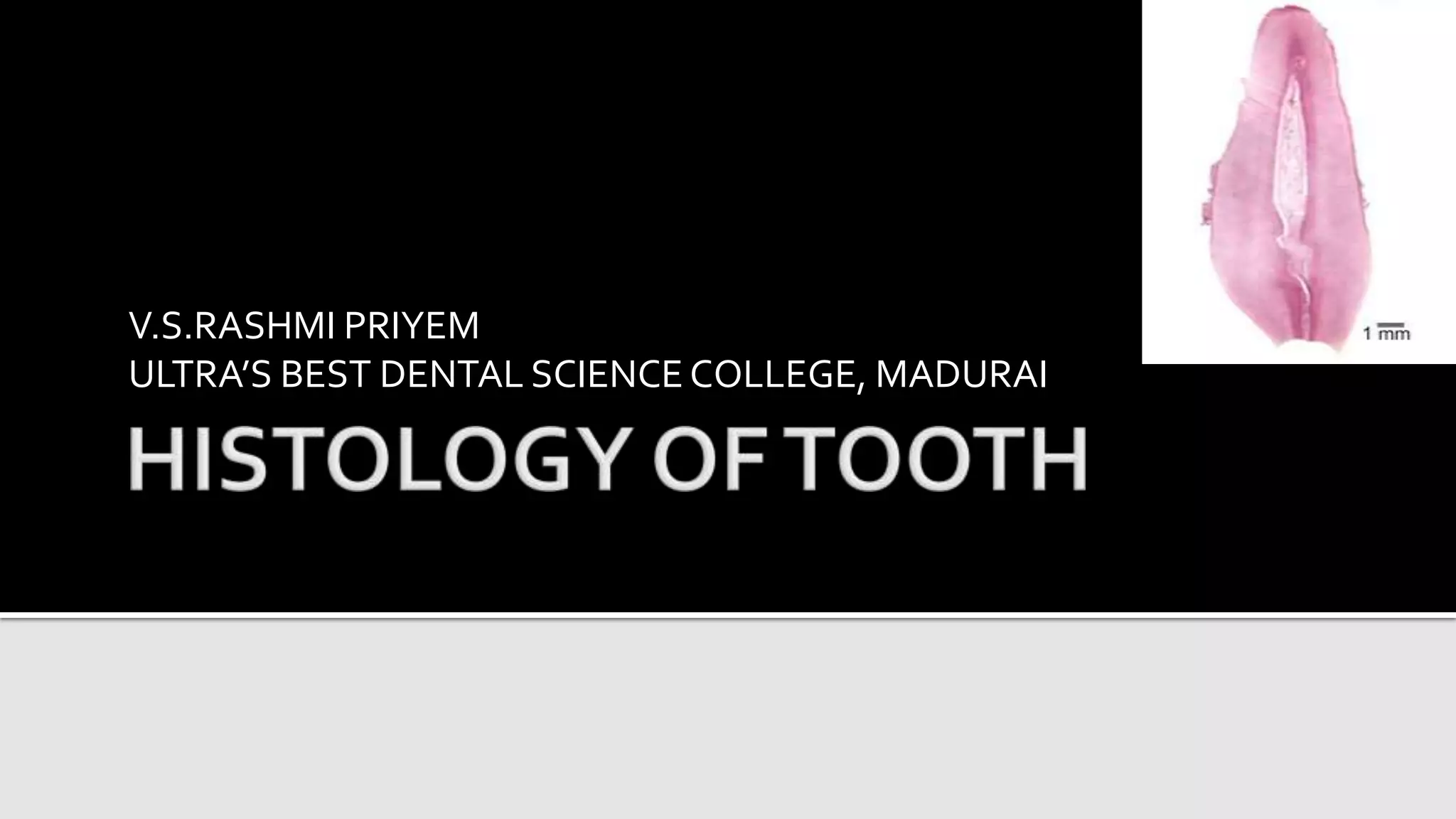 Histology of Tooth | PPTX