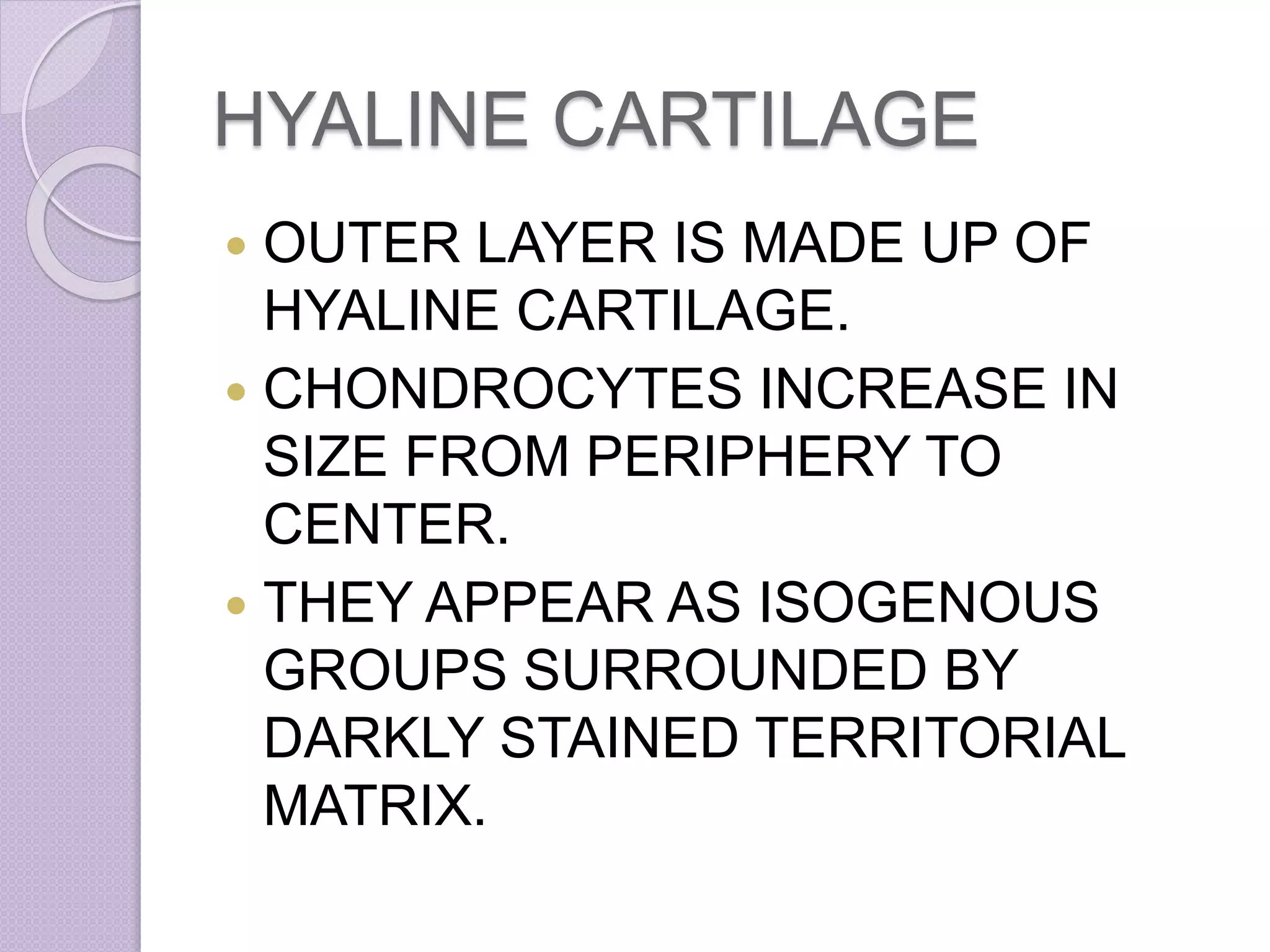 Histology of Trachea | PPTX