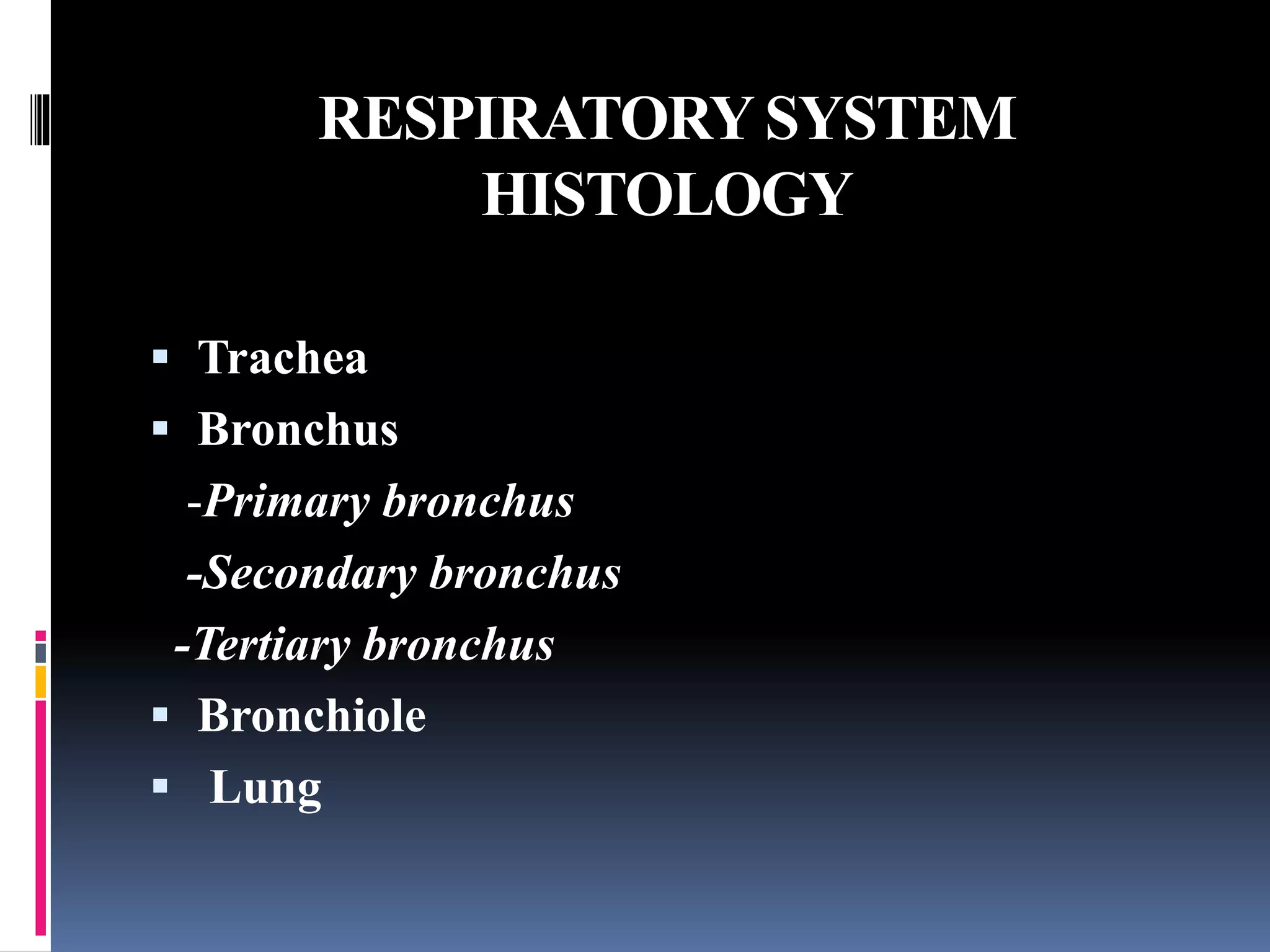 Histology of trachea and lung | PPTX