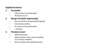 Histology of Ureter, Urinary bladder, urethra, and Prostate gland.pptx
