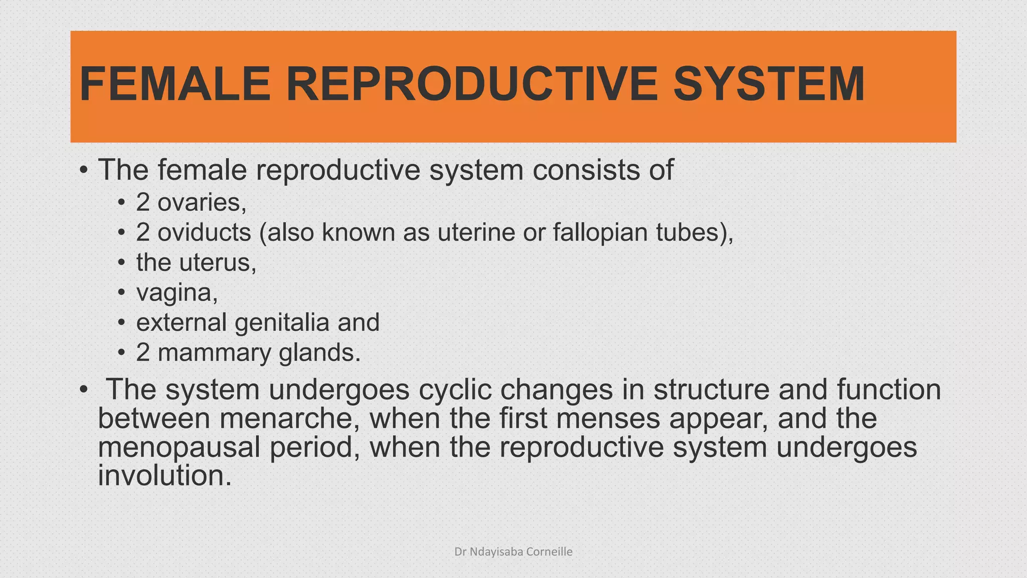 Histology of Urinary and Genital System in male &female.pptx