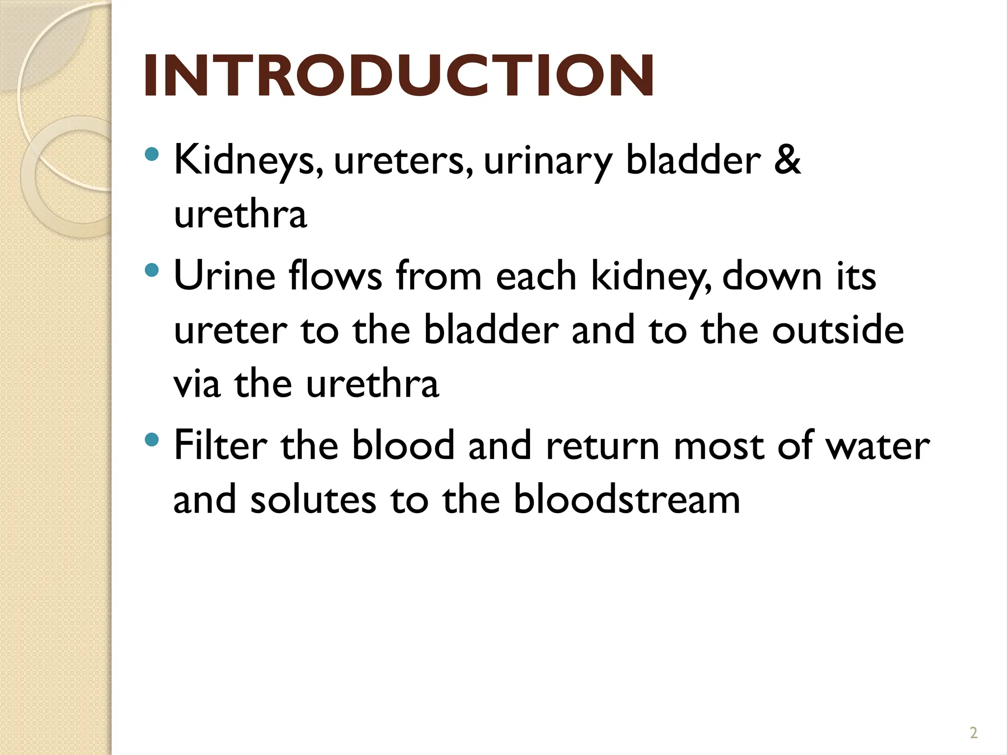 HISTOLOGY OF URINARY SYSTEM.pptx Histology Anatomy | PPTX