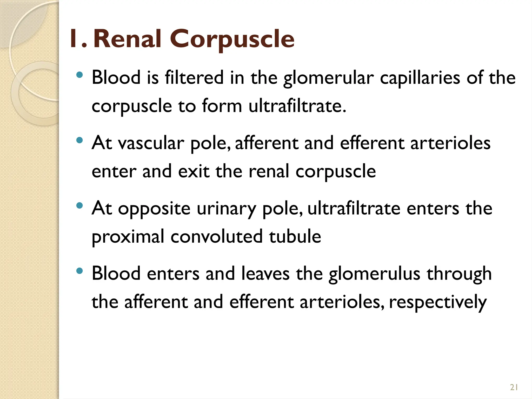HISTOLOGY OF URINARY SYSTEM.pptx Histology Anatomy | PPTX