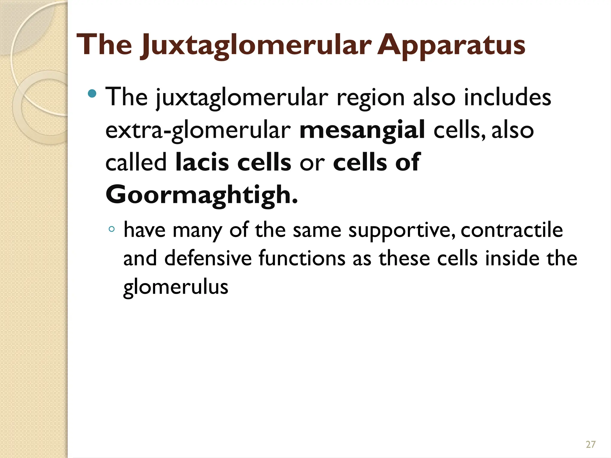 HISTOLOGY OF URINARY SYSTEM.pptx Histology Anatomy | PPTX