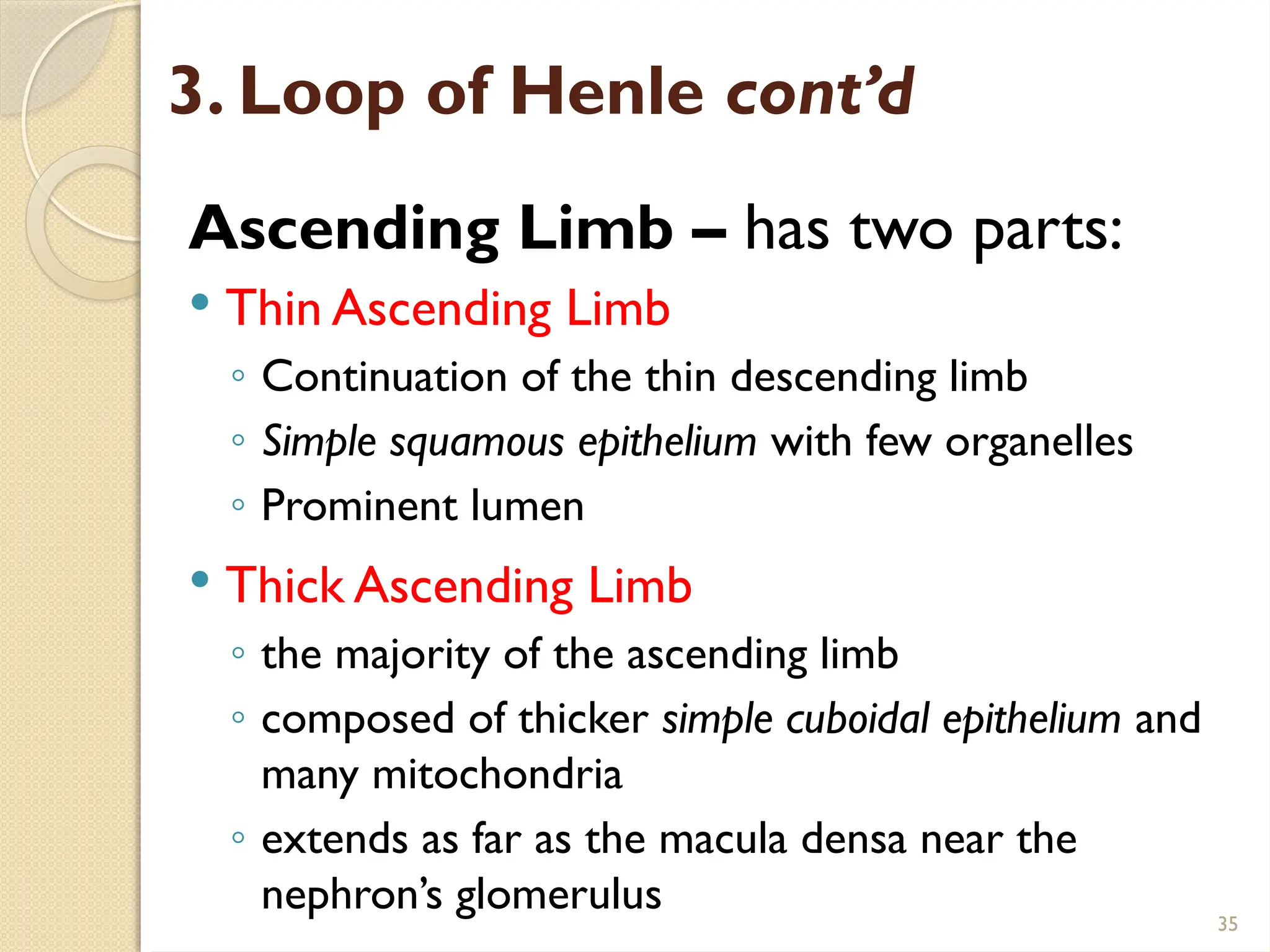 HISTOLOGY OF URINARY SYSTEM.pptx Histology Anatomy | PPTX