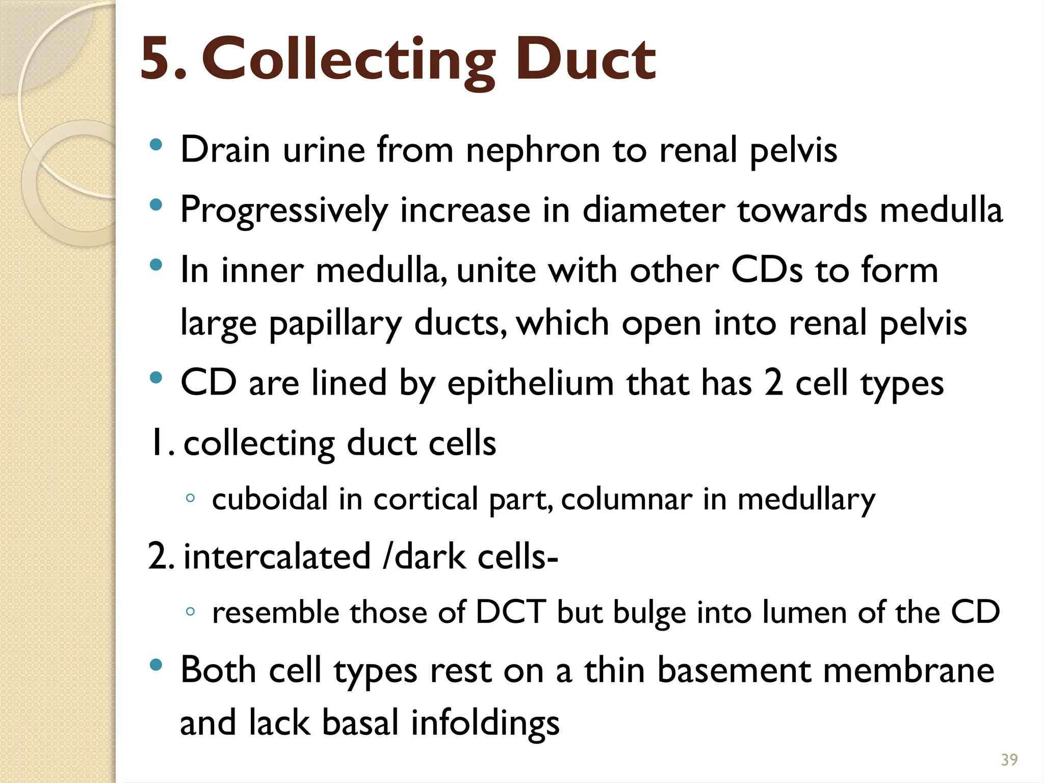 HISTOLOGY OF URINARY SYSTEM.pptx Histology Anatomy | PPTX