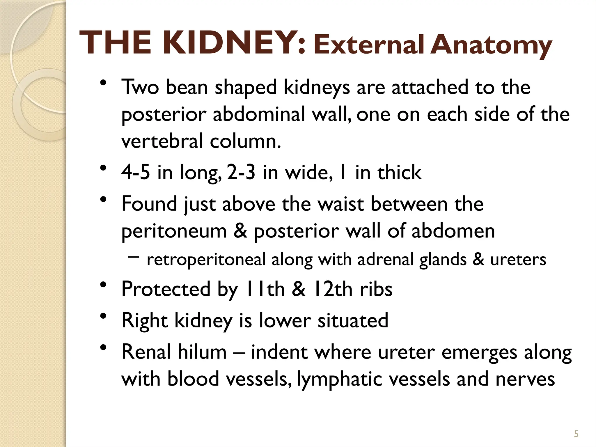 HISTOLOGY OF URINARY SYSTEM.pptx Histology Anatomy | PPTX