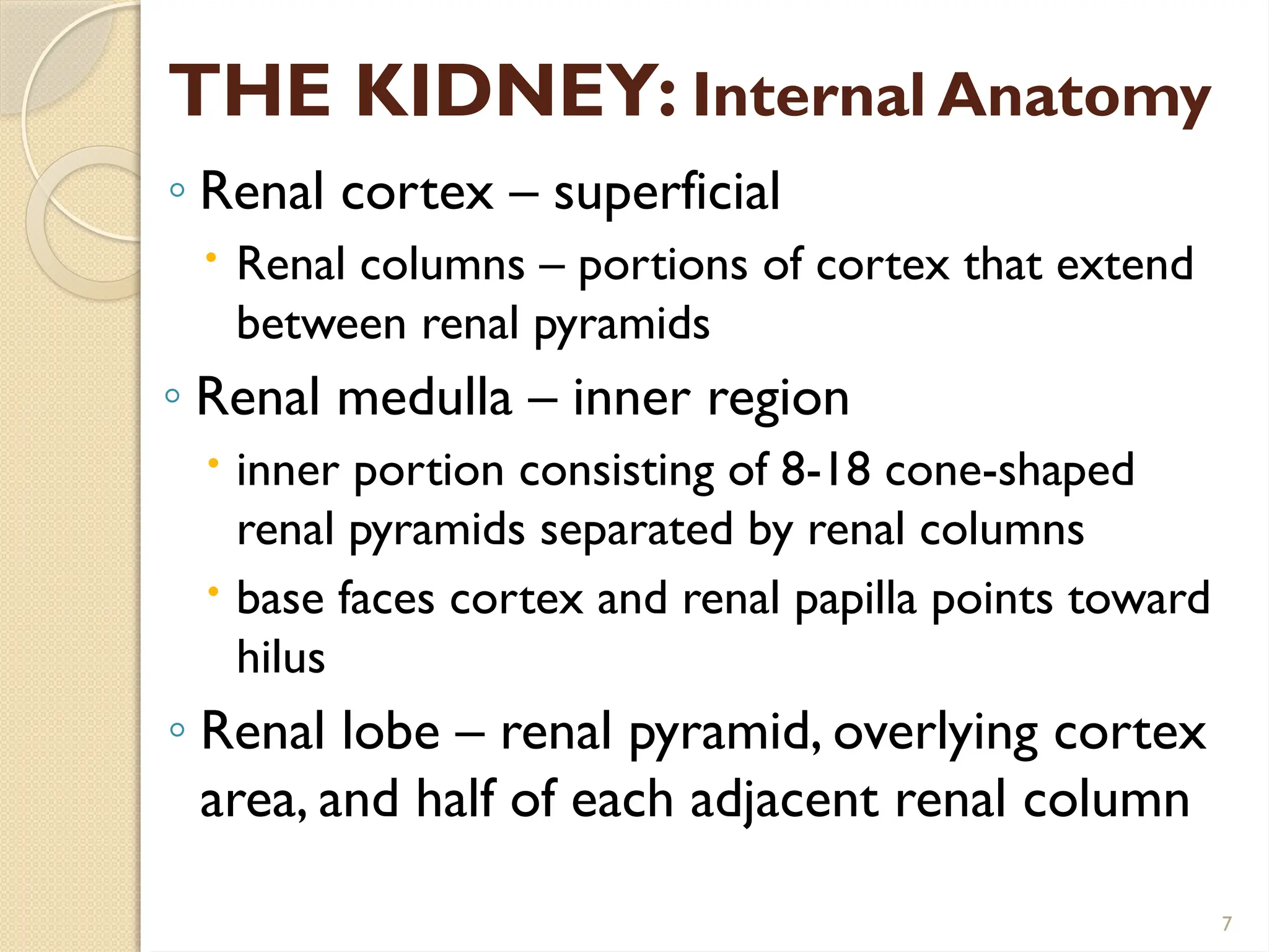 HISTOLOGY OF URINARY SYSTEM.pptx Histology Anatomy | PPTX
