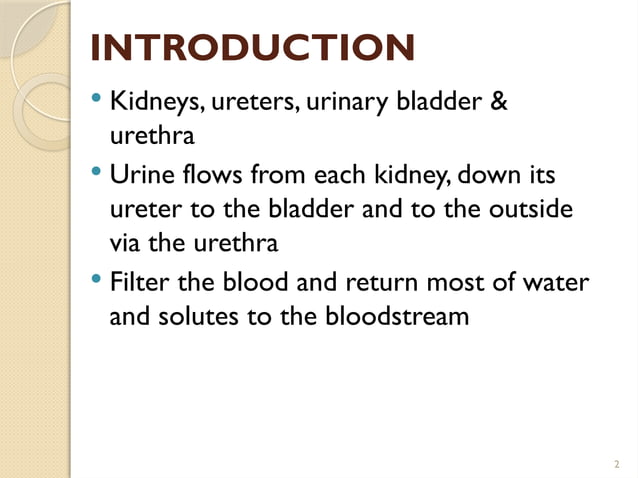 HISTOLOGY OF URINARY SYSTEM.pptx Histology Anatomy | PPTX | Chemistry | Science
