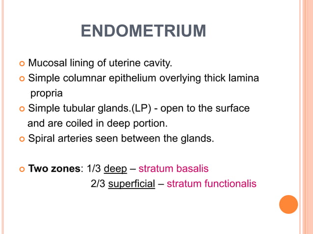 Histology of uterine endometrium.pptxXXX | PPTX | Menopause | Endocrine ...