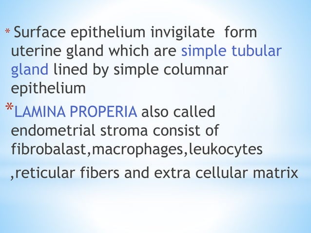 HISTOLOGY OF THE UTERUS FOR MBBS 2ND YEAR REPRODUCTION MODULE | PPTX ...