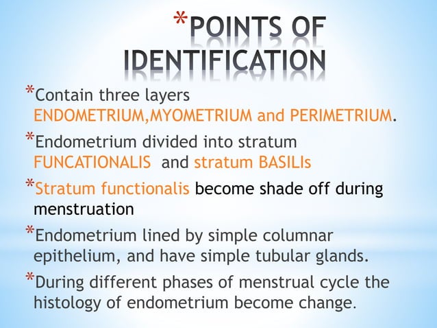 HISTOLOGY OF THE UTERUS FOR MBBS 2ND YEAR REPRODUCTION MODULE | PPTX ...