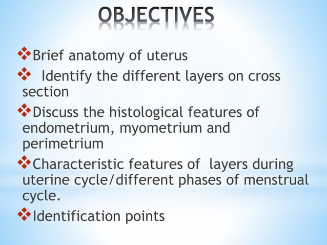 HISTOLOGY OF THE UTERUS FOR MBBS 2ND YEAR REPRODUCTION MODULE | PPTX ...