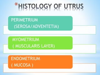 HISTOLOGY OF THE UTERUS FOR MBBS 2ND YEAR REPRODUCTION MODULE | PPTX