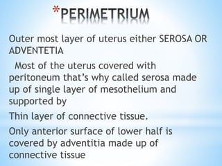 HISTOLOGY OF THE UTERUS FOR MBBS 2ND YEAR REPRODUCTION MODULE | PPTX