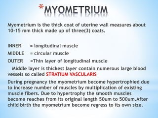 HISTOLOGY OF THE UTERUS FOR MBBS 2ND YEAR REPRODUCTION MODULE | PPTX