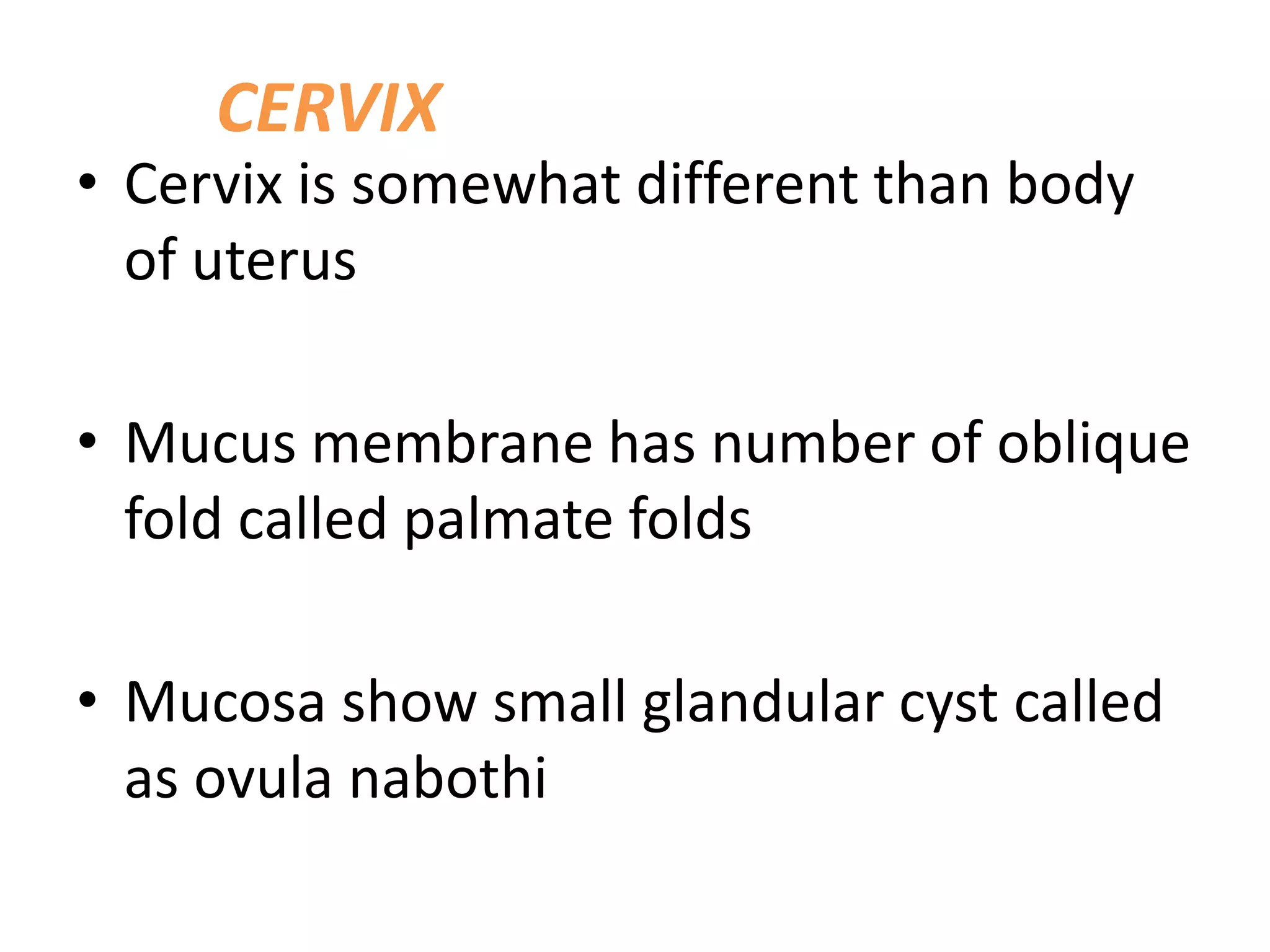 Histology of uterus and cervix | PPTX