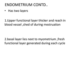 Histology of uterus and cervix | PPTX