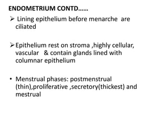 Histology of uterus and cervix | PPTX