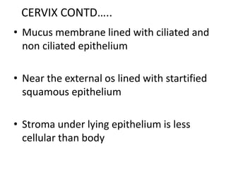 Histology of uterus and cervix | PPTX