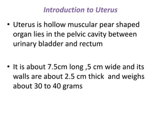 Histology of uterus and cervix | PPTX